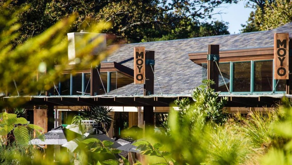 Moyo Celebrates Modern African Dining With a New Menu at Kirstenbosch